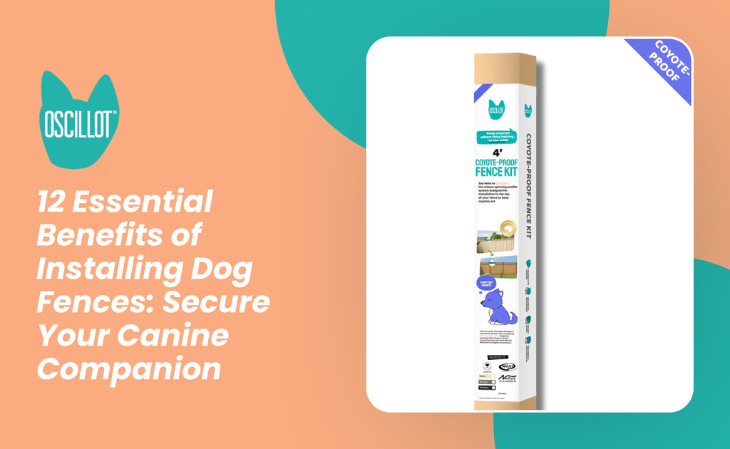 12 Essential Benefits of Installing Dog Fences: Secure Your Canine Com ...