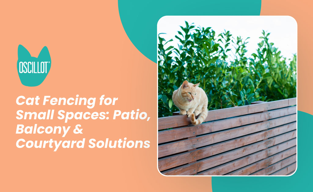 Cat Fencing for Small Spaces: Patio, Balcony & Courtyard Solutions ...