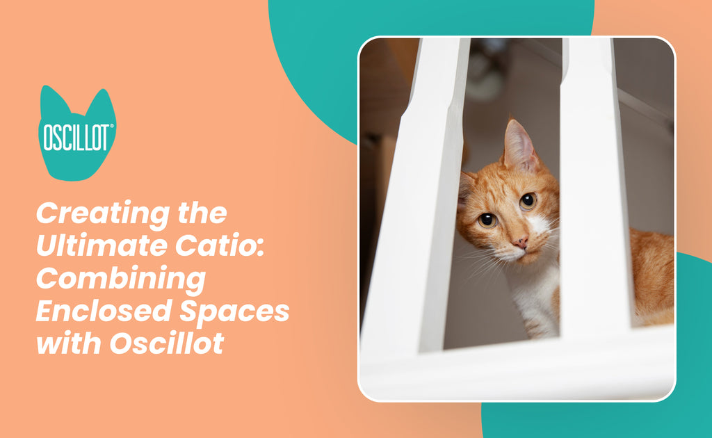 Creating the Ultimate Catio: Combining Enclosed Spaces with Oscillot ...