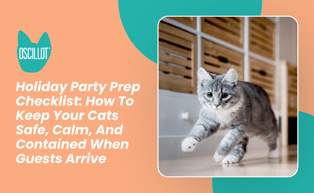 Holiday Party Prep Checklist: How To Keep Your Cats Safe, Calm, And Co ...