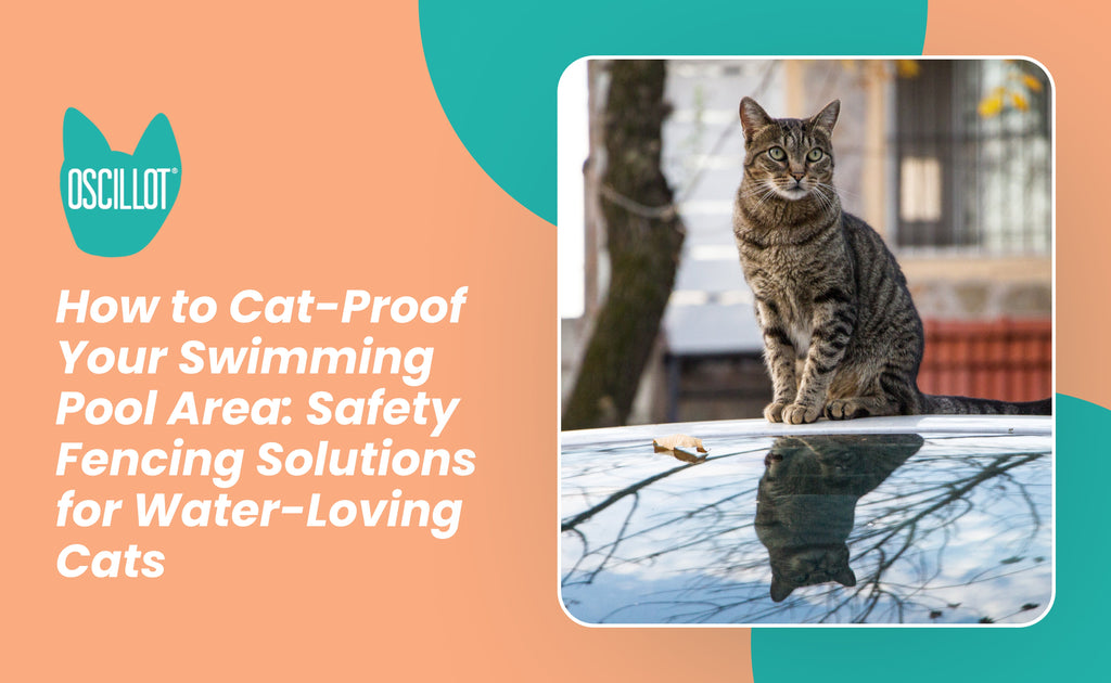 How to Cat-Proof Your Swimming Pool Area: Safety Fencing Solutions for ...