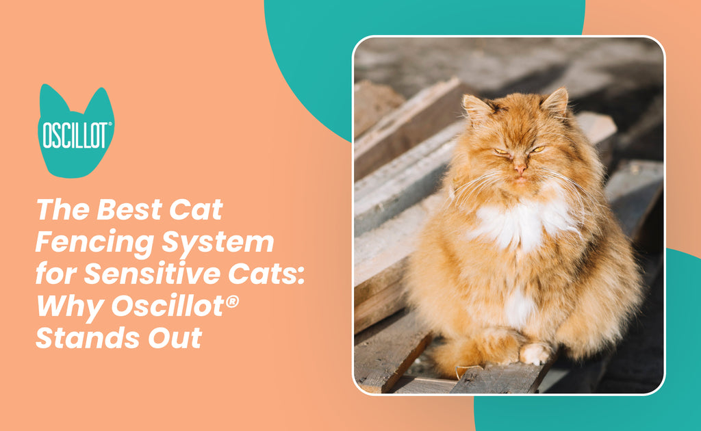 The Best Cat Fencing System for Sensitive Cats: Why Oscillot® Stands O ...