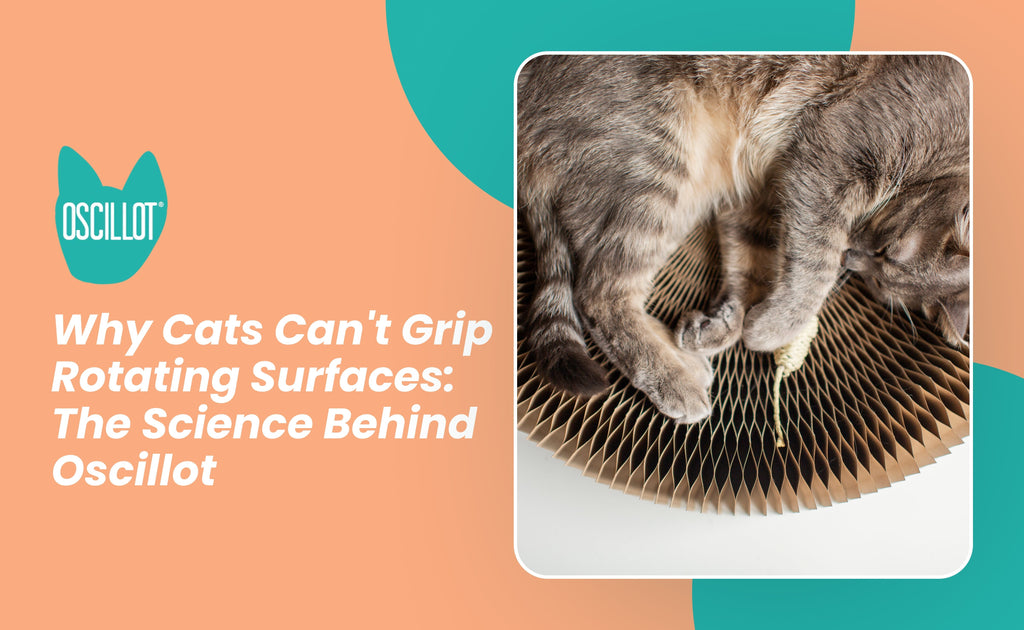 Why Cats Can't Grip Rotating Surfaces: The Science Behind Oscillot ...